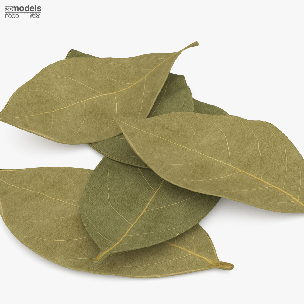 Bay Leaf 3D model - Download Herbs on 3DModels.org