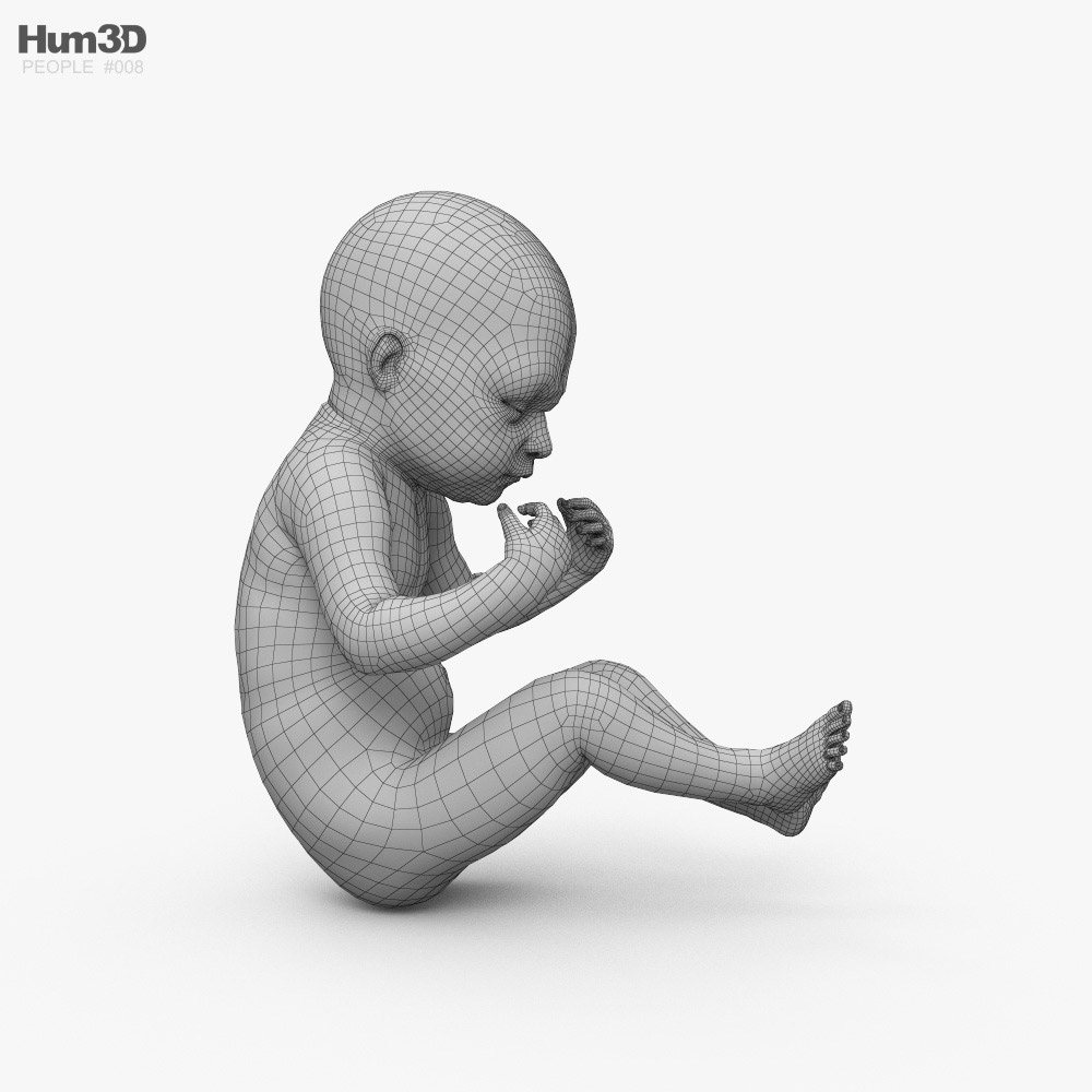 Baby 3D model - Download Character on 3DModels.org