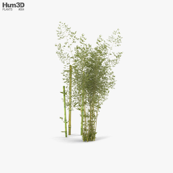 Bamboo 3D Models Download - 3DModels.org