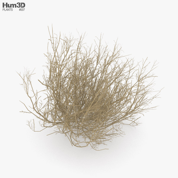 Tumbleweed 3D model - Download Grass on 3DModels.org