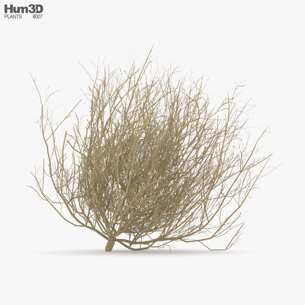Tumbleweed 3D model - Download Grass on 3DModels.org