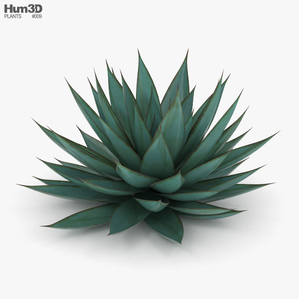 Agave Modelos 3D Descargar - 3DModels.org