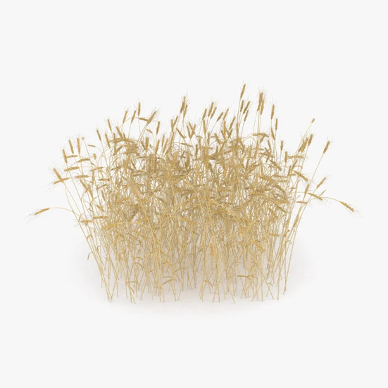 Farm Crops 3D models for Download - 3DModels.org