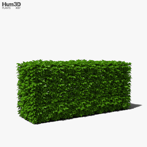 Privacy screen 3D Models Download - 3DModels.org
