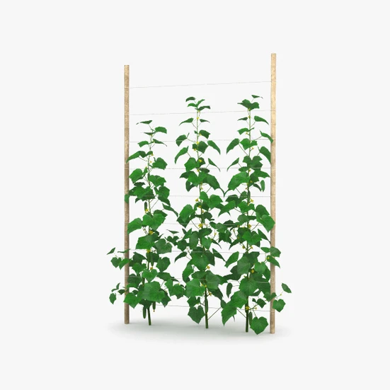 Farm Crops 3D models for Download - 3DModels.org
