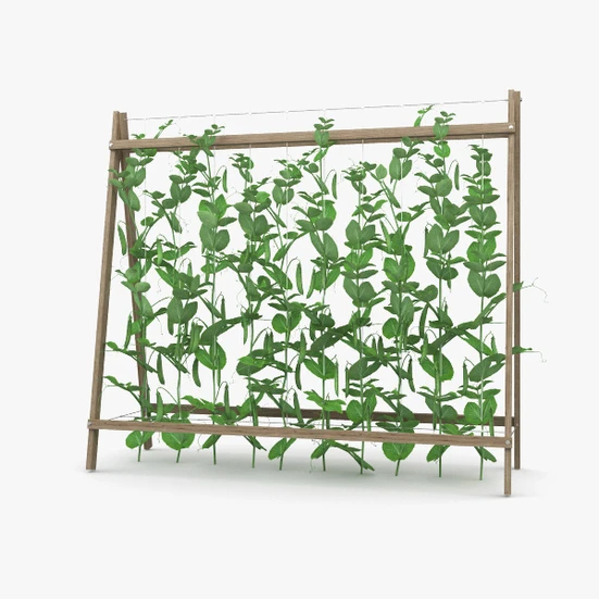 Farm Crops 3D models for Download - 3DModels.org