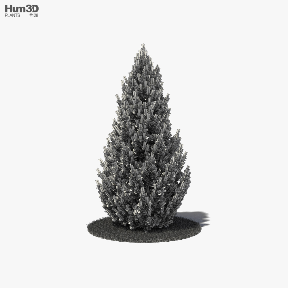 Juniper 3D model - Download Trees on 3DModels.org