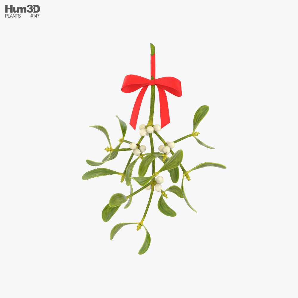 Mistletoe Sprig 3D model - Download Decoration on 3DModels.org