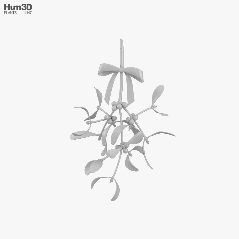 Mistletoe Sprig 3D model - Download Decoration on 3DModels.org