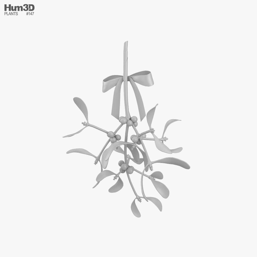 Mistletoe Sprig 3D model - Download Decoration on 3DModels.org