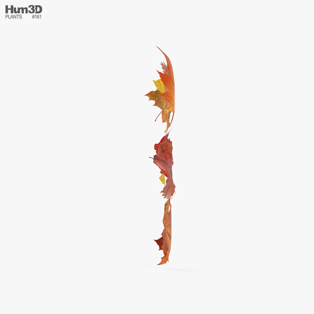 Autumn Leaves Set 3D model - Download Trees on 3DModels.org