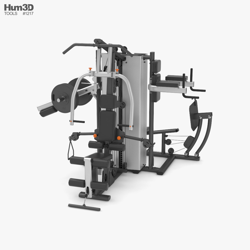 Multi Fitness Equipment Gym 3D model - Download Sports Equipment on ...