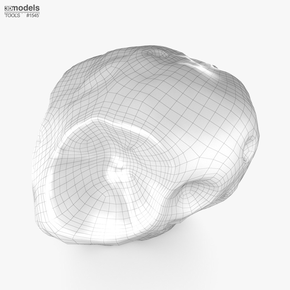 Asteroid 3D model - Download Planets on 3DModels.org