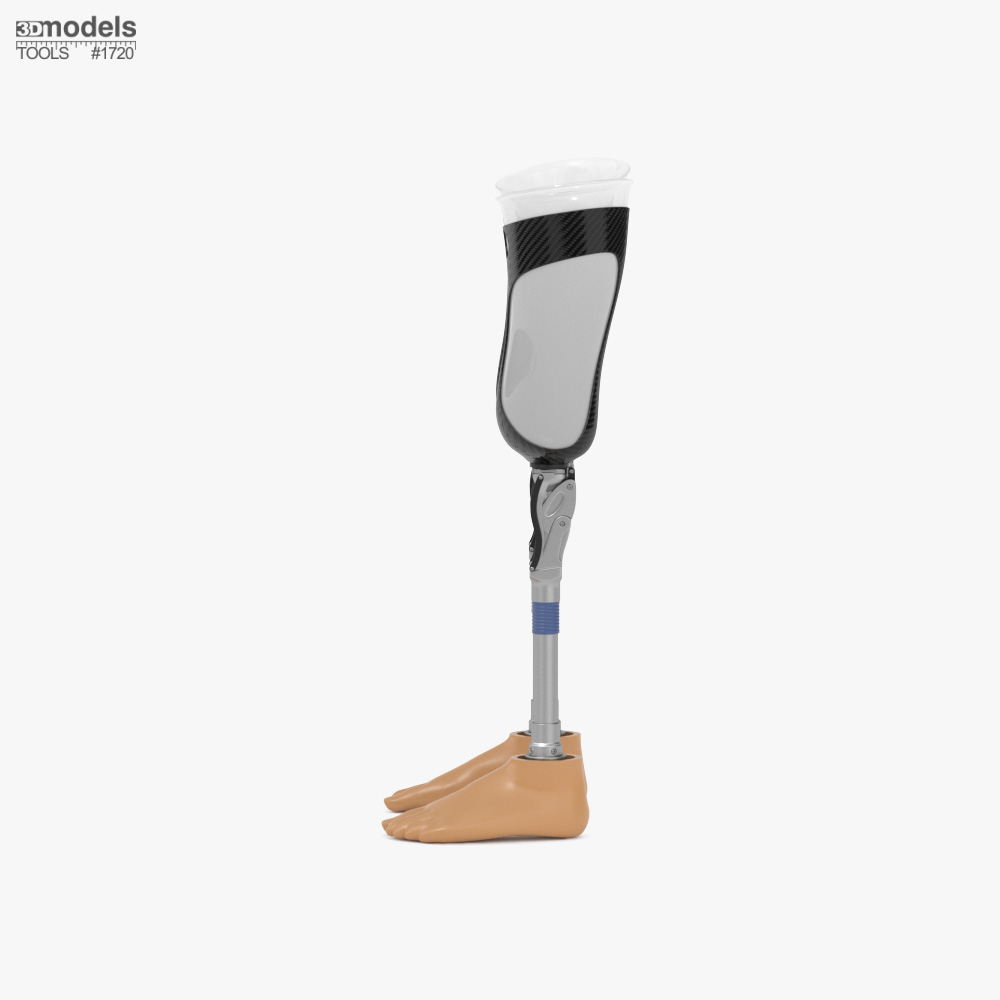 Transfemoral Prosthesis With Knee 3D model - Download Medical Equipment ...