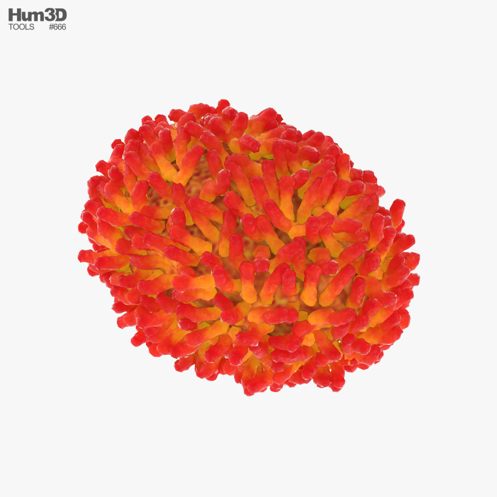 Smallpox Virus 3D model - Download Medical Equipment on 3DModels.org