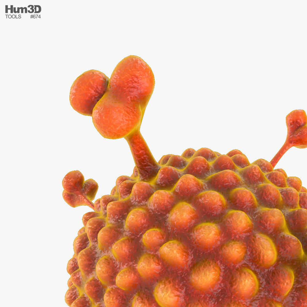 Adenovirus 3D model - Download Medical Equipment on 3DModels.org