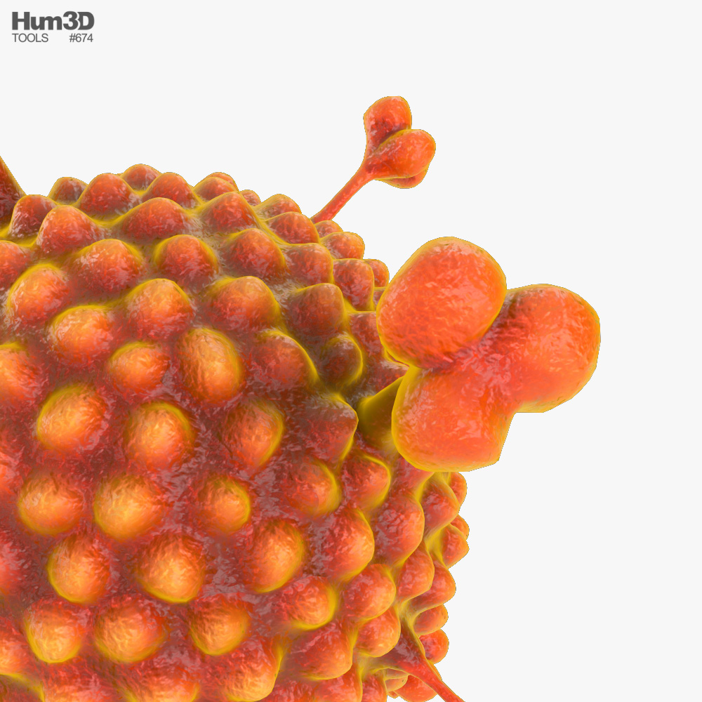 Adenovirus 3D model - Download Medical Equipment on 3DModels.org
