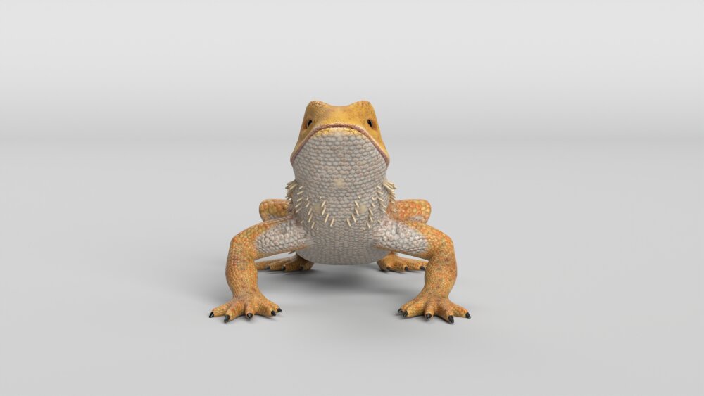 Bearded Dragon Lizard 3D model - Download Reptile on 3DModels.org