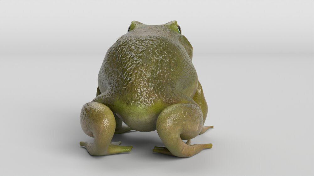 Bull Frog 3D model - Download Amphibians on 3DModels.org