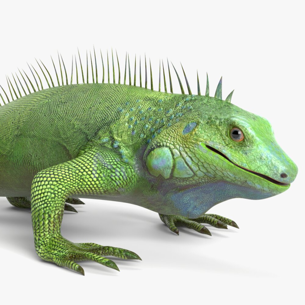 Iguana Modelo 3D - Descargar Reptilia activado 3DModels.org