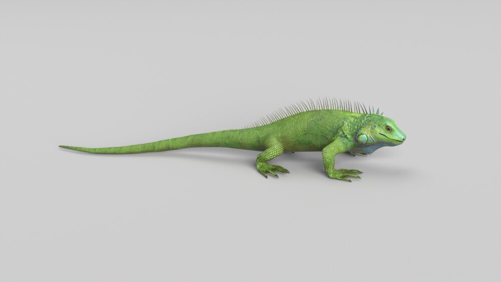 Iguana 3D model - Download Reptile on 3DModels.org
