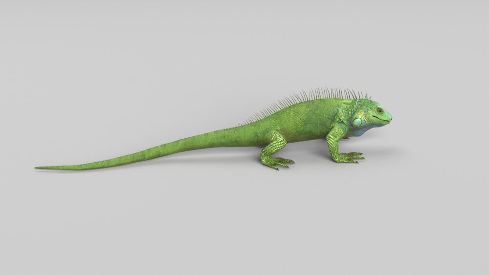 Iguana 3D model - Download Reptile on 3DModels.org