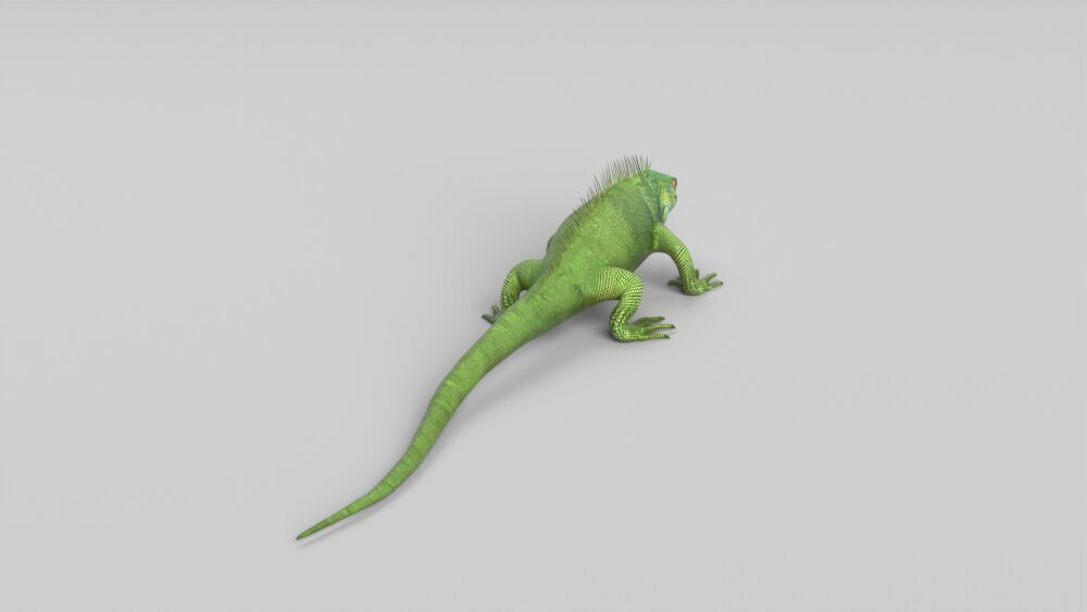 Iguana 3D model - Download Reptile on 3DModels.org