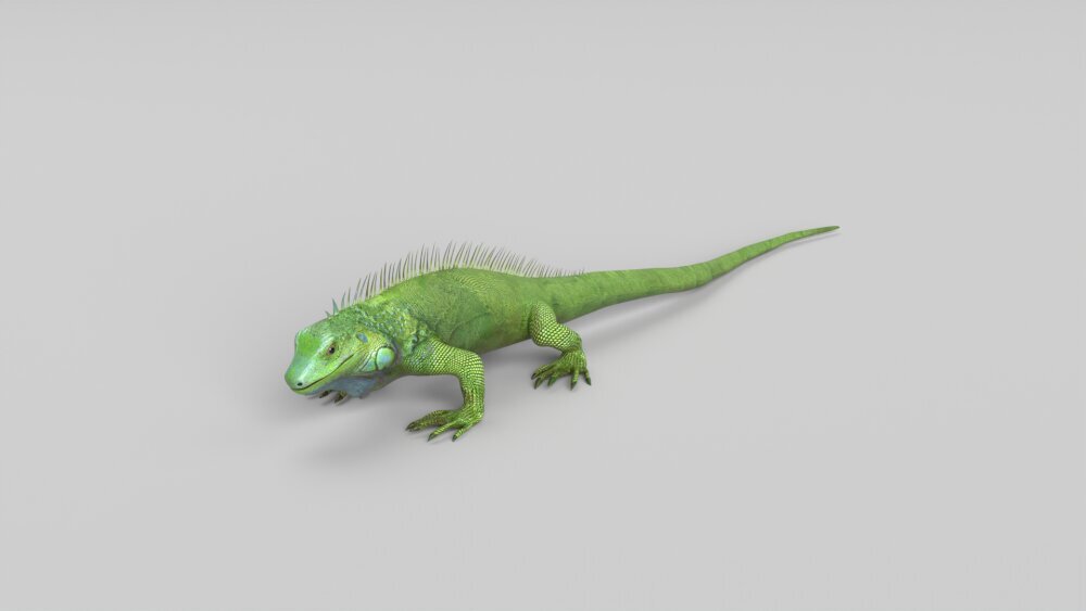 Iguana 3D model - Download Reptile on 3DModels.org