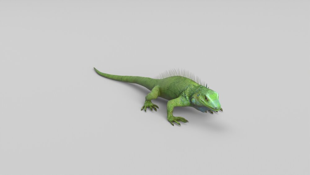 Iguana 3D model - Download Reptile on 3DModels.org