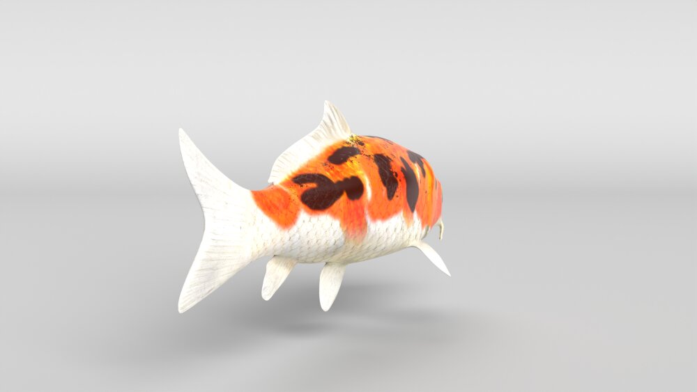 Koi Fish 3D model - Download Fish on 3DModels.org