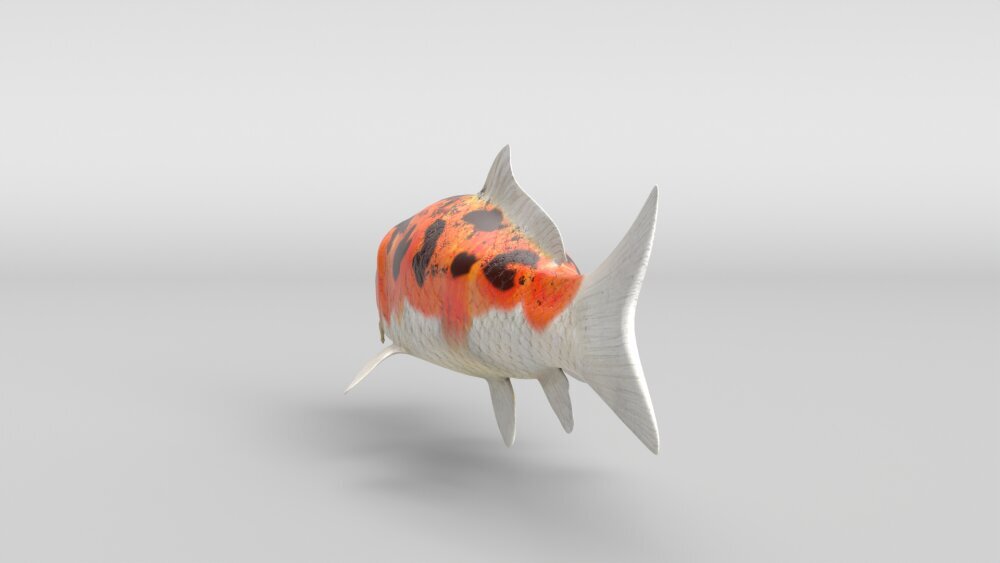 Koi Fish 3D model - Download Fish on 3DModels.org
