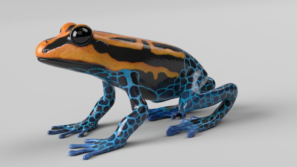 Colorful Poison Dart Frog 3D model - Download Amphibians on 3DModels.org