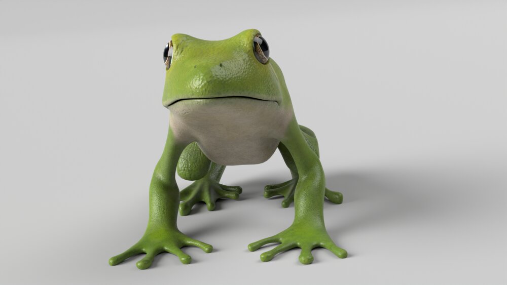 动画绿色树蛙 3D模型 - 下载 两栖动物 on 3DModels.org