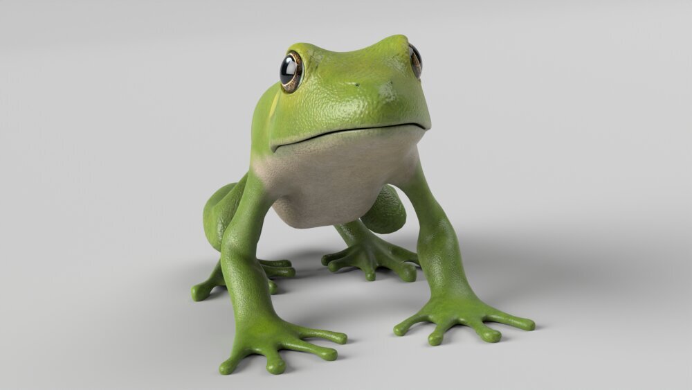 Tree Frog Green Animated 3D model - Download Amphibians on 3DModels.org