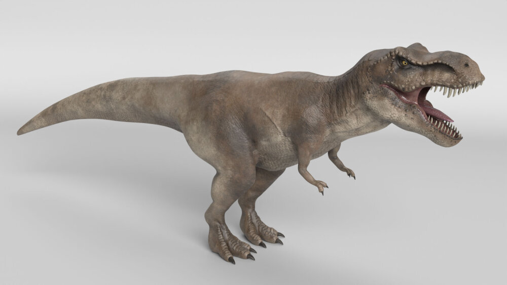 Tyrannosaurus Rex with Realistic Texture and Detailing 3D 모델 - 다운로드 공룡 ...