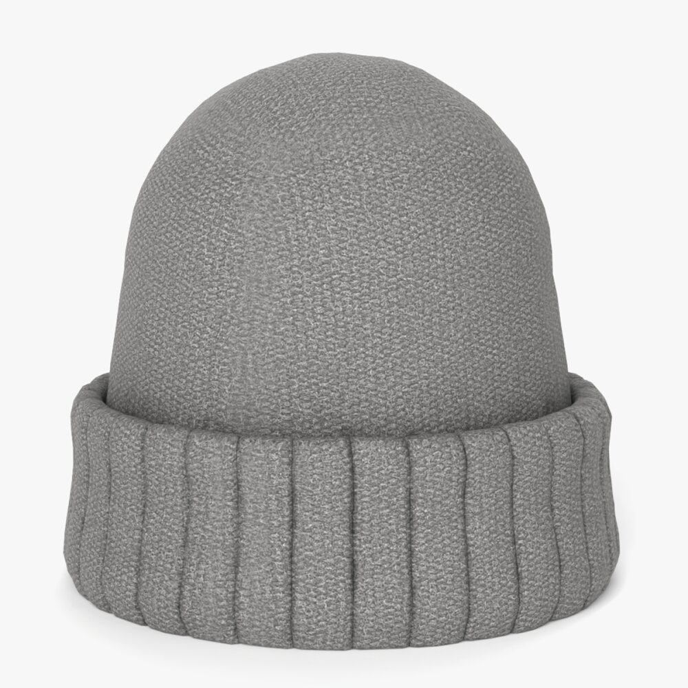 Grey Winter Hat 3D model - Download Hats on 3DModels.org