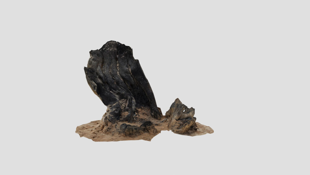 Dry Tree Stump in Namibian Desert 3D model - Download Landscapes on ...