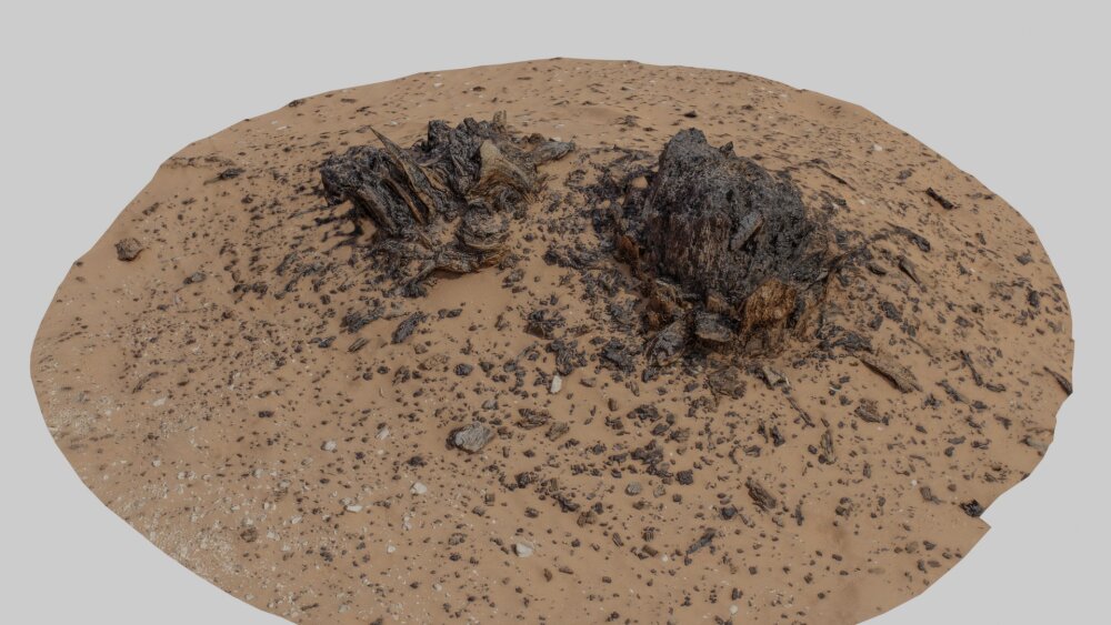 Dry Tree Stump in Desert Namibian 3D model - Download Landscapes on ...