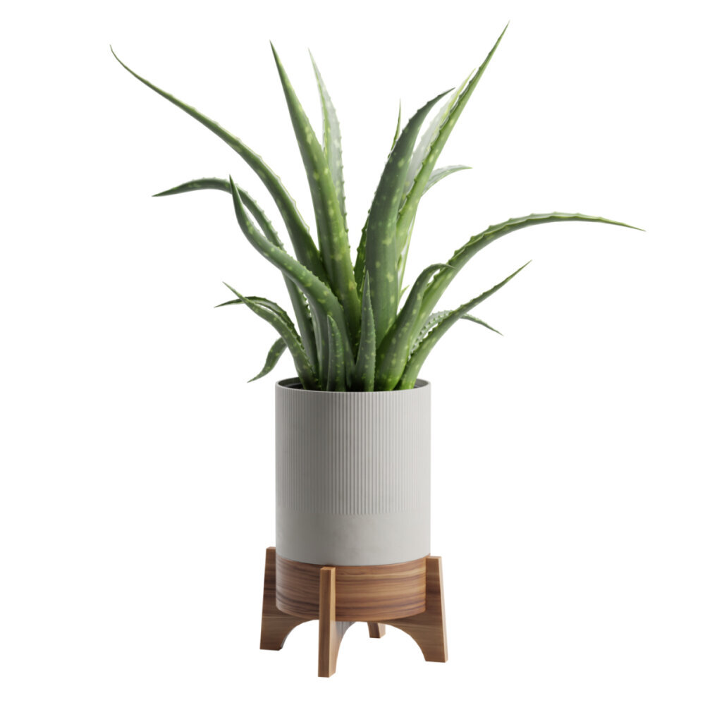 Aloe Vera Potted Stand 3D model - Download Houseplants on 3DModels.org