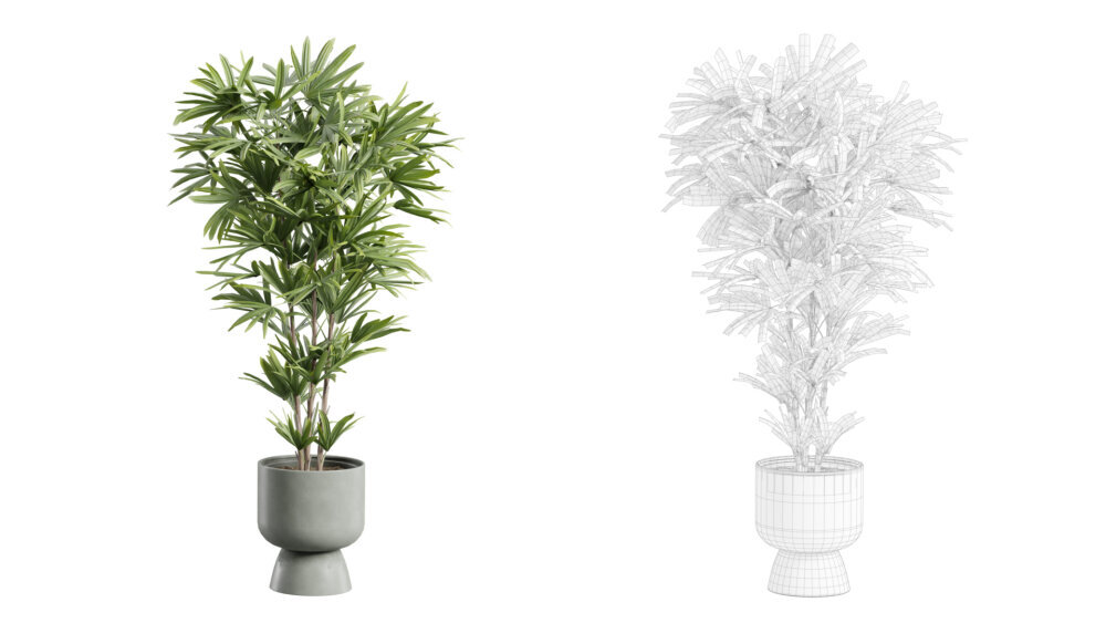 Indoor Plants Pack. Monstera Raphis Pachira Chamaedorea 3D model ...