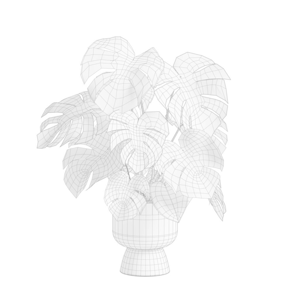 Indoor Plants Pack. Monstera Raphis Pachira Chamaedorea 3D модель ...