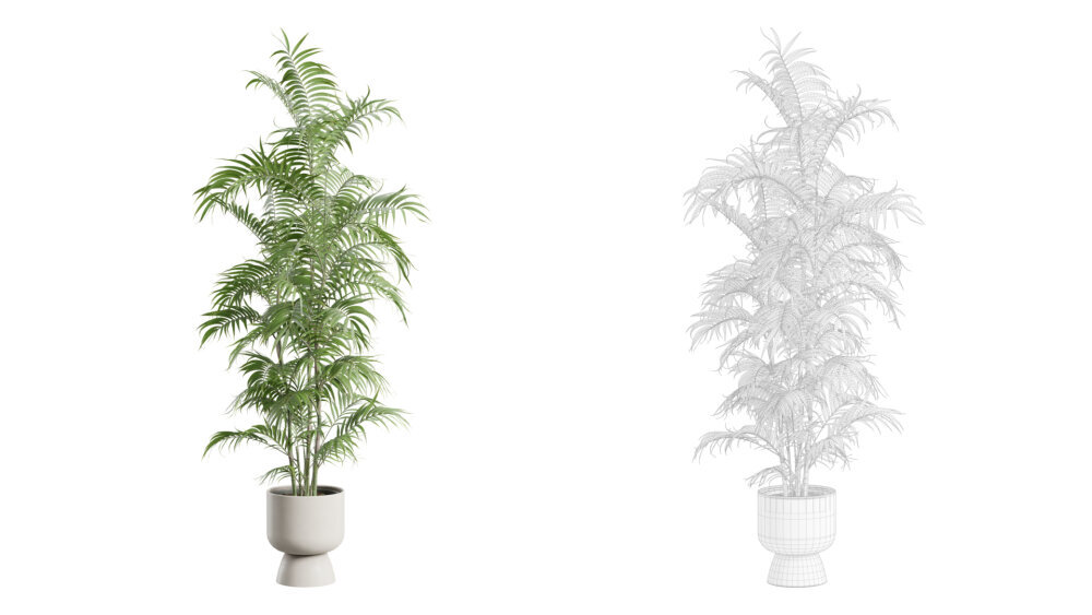 Indoor Plants Pack. Monstera Raphis Pachira Chamaedorea 3D model ...
