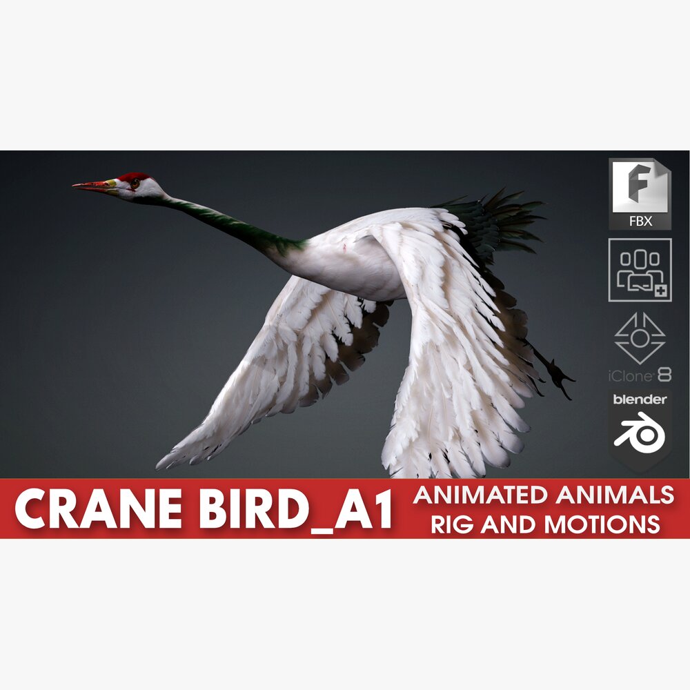 Crane Bird A1 3D model - Download Birds on 3DModels.org