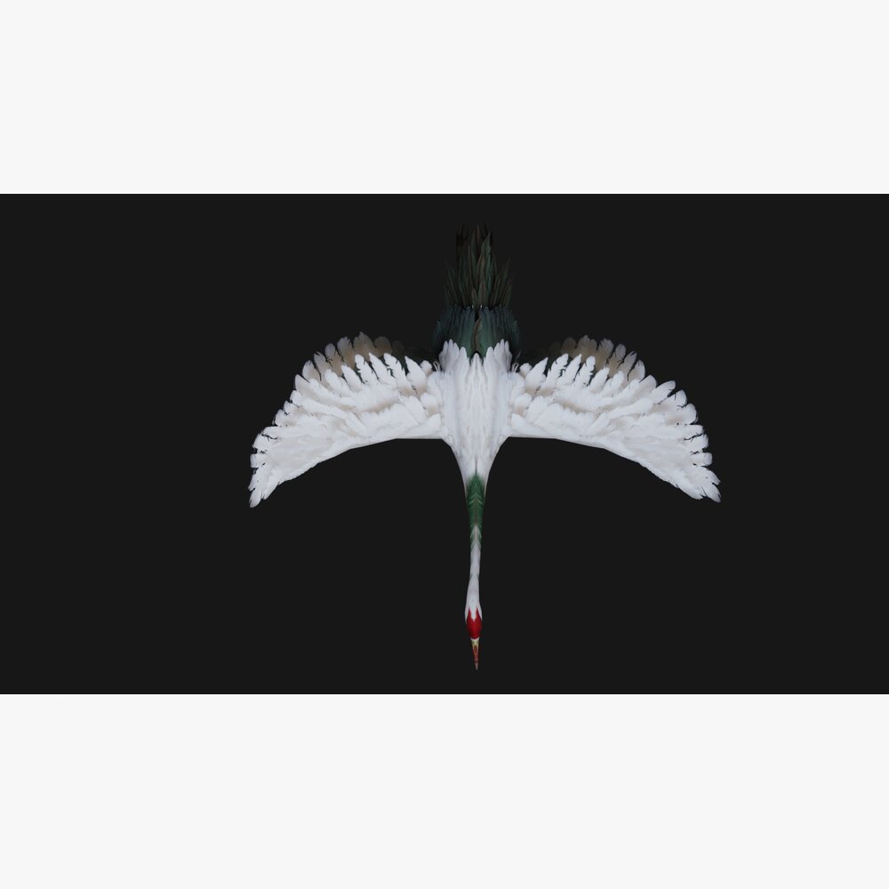 Crane Bird A1 3D model - Download Birds on 3DModels.org