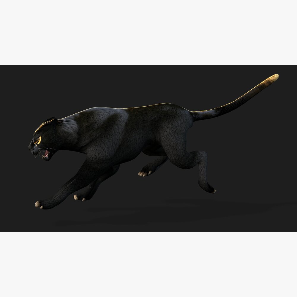 Black Panther A1 3D model - Download Mammals on 3DModels.org