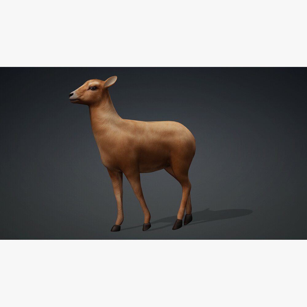Goat A1 3D model - Download Mammals on 3DModels.org