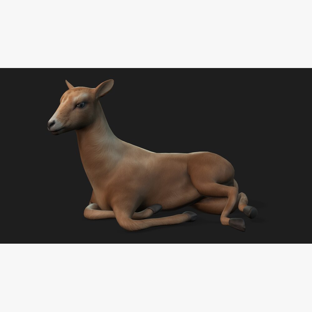 Goat A1 3D model - Download Mammals on 3DModels.org