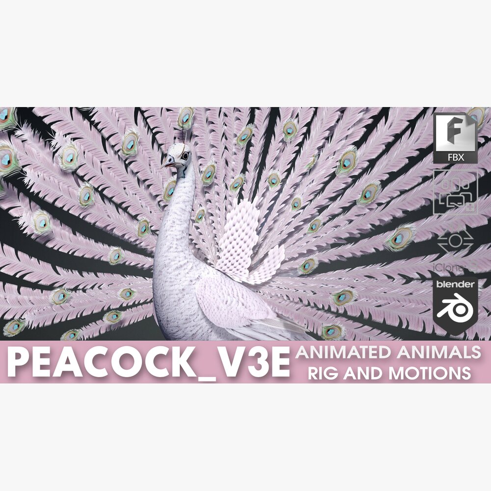 Peacock V3E 3D model - Download Birds on 3DModels.org