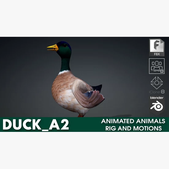 Ducks 3D Models Download - 3DModels.org