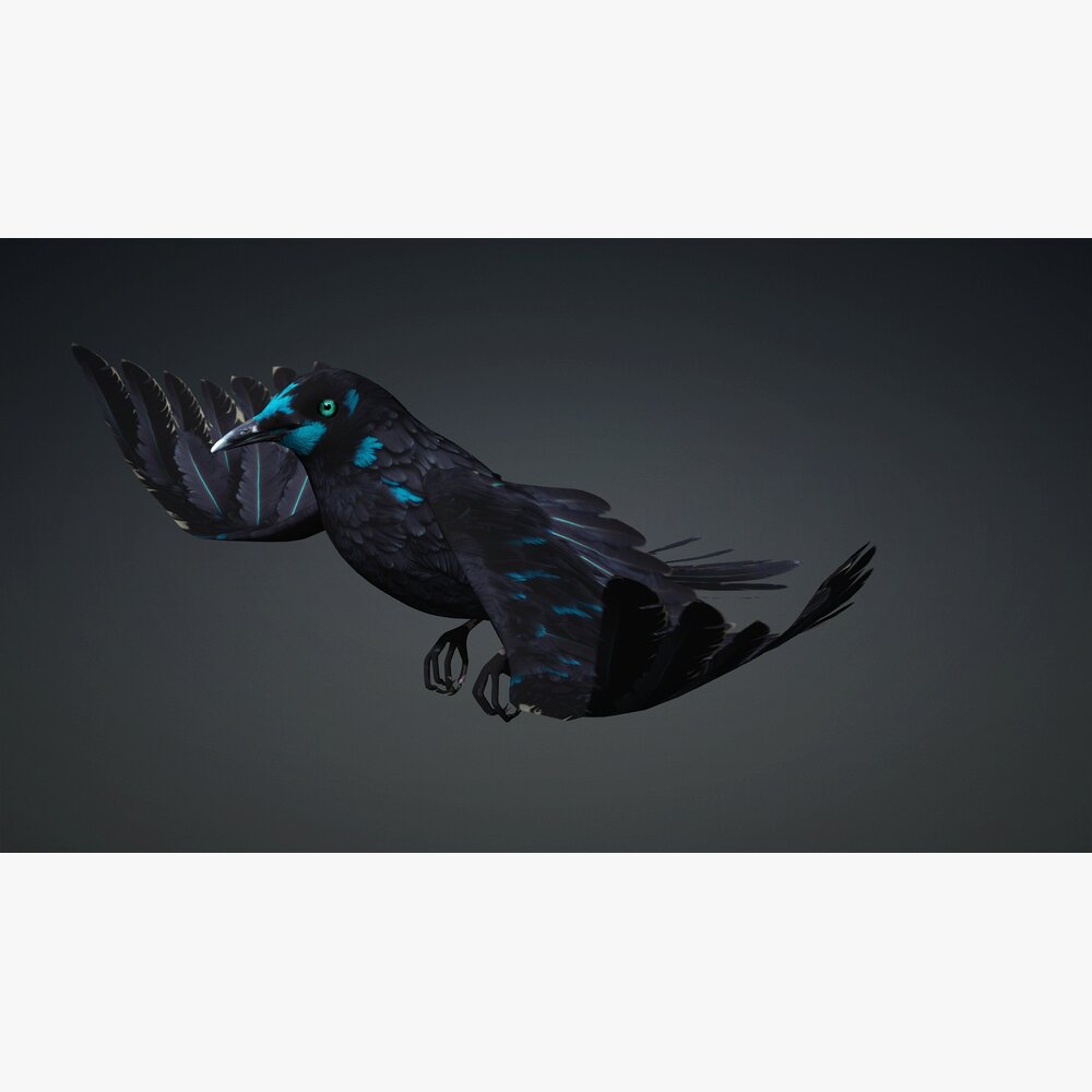 Raven A2 3D model - Download Birds on 3DModels.org